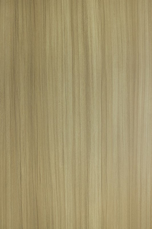 HPL New Collection 08